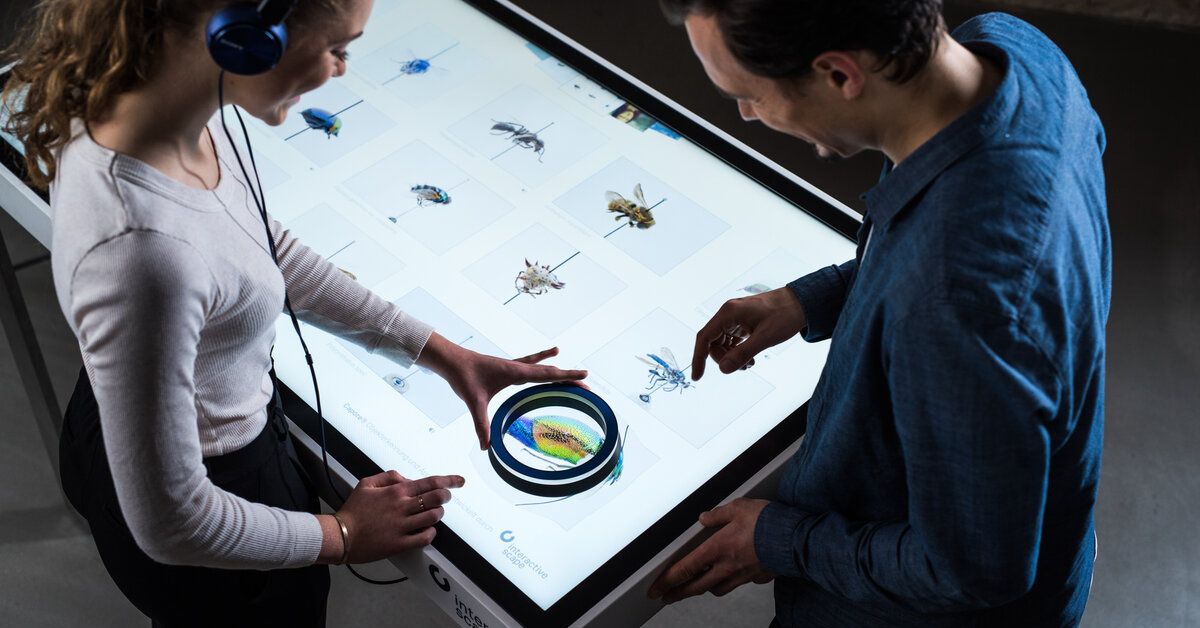 Interactive Scape Use Cases - Innovative Multitouch Solutions in Action